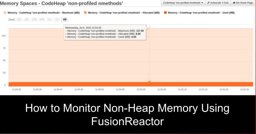 How To Monitor Non Heap Memory Using FusionReactor DNT